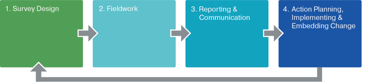 survey-process-diagram-small - Agenda Consulting